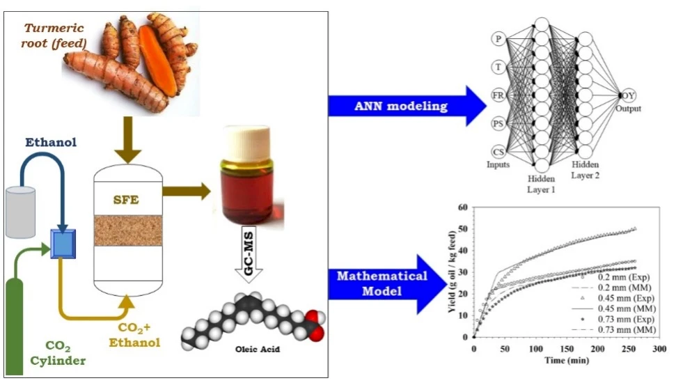 Optimization Of Supercritical Fluid Extraction Process For The Selective Extraction Of Turmeric