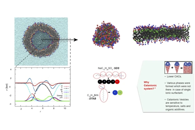 Phase Formation In Catanionic System Using Dissipative Particle Dynamics School Of Natural